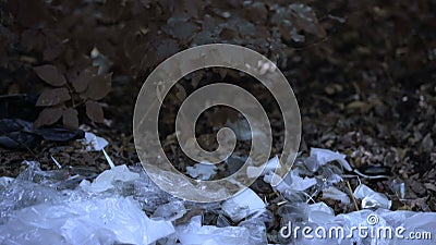 Plastic Bag Falling Down on Litter Landfill in Forest, Global ...