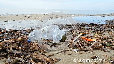 Plastic Debris Dump Pollution on Sea Coast Ecosystem after a Storm ...