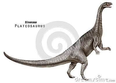 Plateosaurus Illustration. Stock Image | CartoonDealer.com #322085767