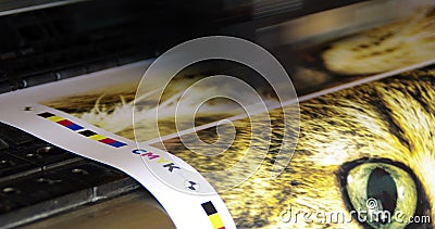 Plotter print cmyk stock video. Video of industry, digital - 110792529