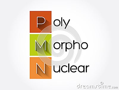 PMN - PolyMorphoNuclear Acronym, Concept Background Royalty-Free Stock ...