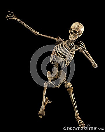 Pointing Skeleton Royalty Free Stock Image - Image: 26136596