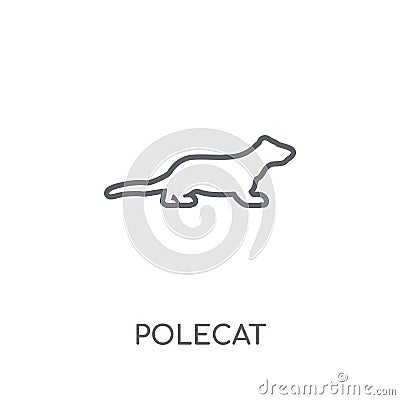 Polecat Linear Icon. Modern Outline Polecat Logo Concept On Whit ...