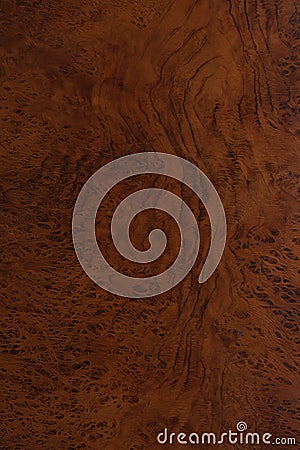 Polished Wood Surface. The Background Of Polished Wood Texture Royalty ...