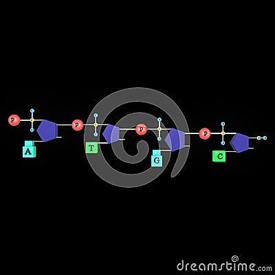 Polynucleotide Chain Royalty-Free Stock Photo | CartoonDealer.com #46059225