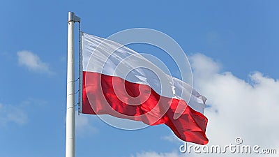 Poolse Vlag Met Het Symbool Van Het Vechten Van Polen Stock Footage ...