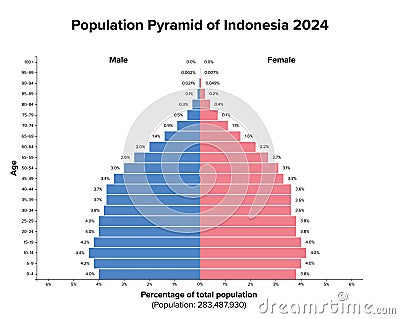 Population Pyramid Of Indonesia 2024, Age Structure Diagram Cartoon ...