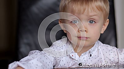 Portrait of Cute Little Boy with Blue Eyes. Stock Footage - Video of ...