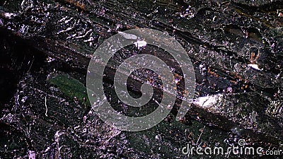 Potassium Permanganate Crystals Under 4x Magnification Microscope - 3d ...