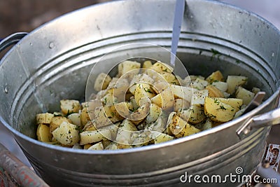 Potato In Tin Metal Basin Stock Image | CartoonDealer.com #12700525
