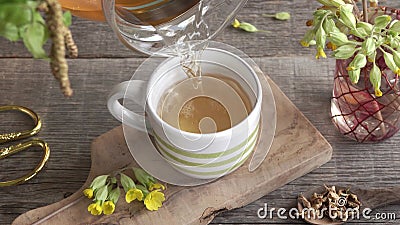 Pouring Primula Tea into a Cup. Medicinal Plant Stock Footage - Video ...