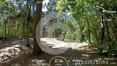 POV Biking in the Summer Forest Stock Video - Video of race, outdoor ...