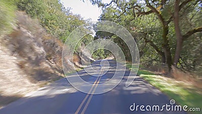 POV Driving Along Road through Forest Stock Footage - Video of forest ...