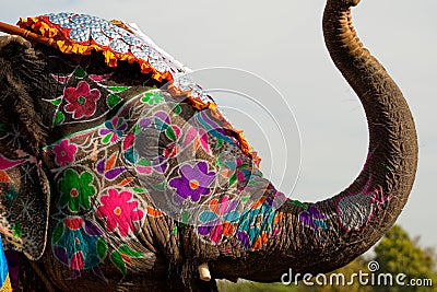 Prachtig Geschilderde Olifant In India Stock Foto - Afbeelding: 25566980