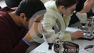 Practical Training for Students at University with Use of Optical ...