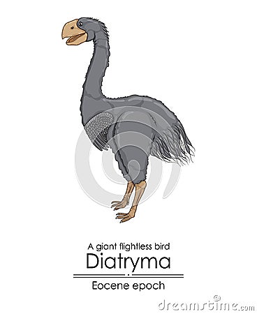 A Prehistoric Giant Flightless Bird, Diatryma Vector Illustration ...