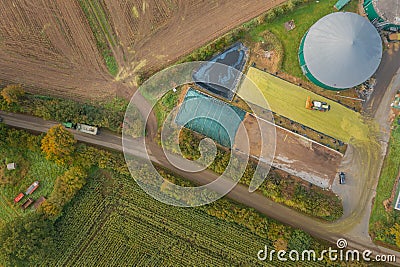 Preparation Of Forage Corn For Storage After Harvesting.Forage Corn ...