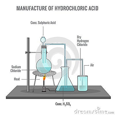Preparation Of Hydrochloric Acid In Laboratory Vector Illustration ...