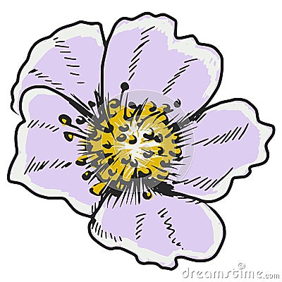 Primrose Cartoon Vector | CartoonDealer.com #48442219