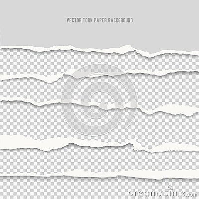 Vector Realistic Torn Paper Edges. - Illustration | CartoonDealer.com ...