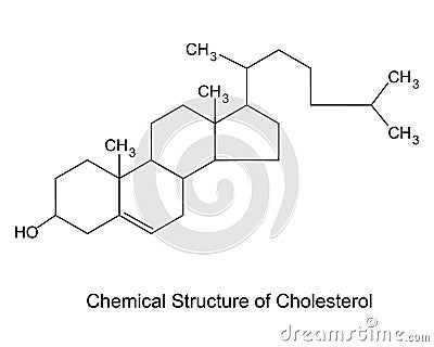 Chemical Structure Of Cholesterol. Cartoon Vector | CartoonDealer.com ...