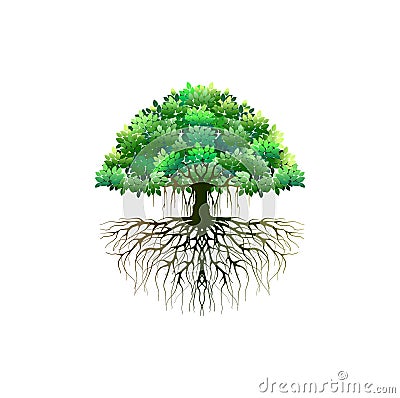 Printable Banyan Tree Image Vector Illustration | CartoonDealer.com ...