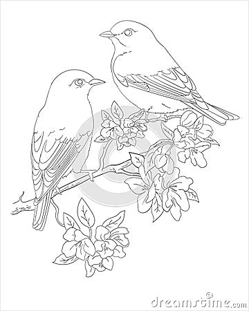 Print Couple Of Birds And Flower Coloring Page Vector Illustration ...