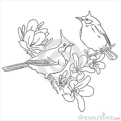 Print Couple Of Birds And Flower Coloring Page Vector Illustration ...