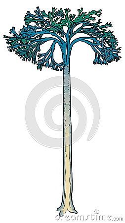 Lepidodendron Plant Tree Dinosaur Ancient Vector Illustration ...