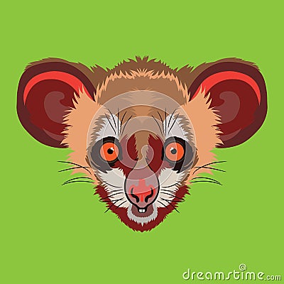 Aye Aye Face Vector Illustration In Cute Cartoon Style | CartoonDealer ...