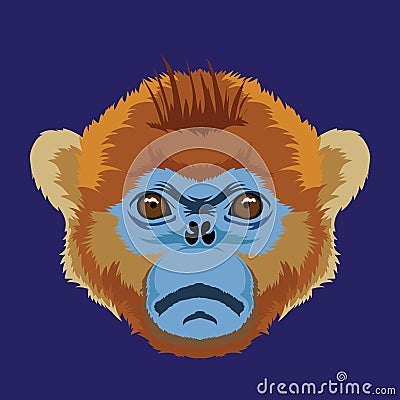 Snub Nosed Monkey Monkey Face Vector Illustration In Decorative Cartoon ...