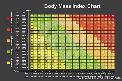 Body Mass Index (BMI) Chart Cartoon Vector | CartoonDealer.com #259923355