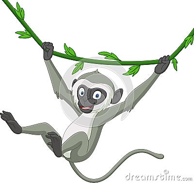 Cute Langur Monkey Cartoon Hanging Vector Illustration | CartoonDealer ...