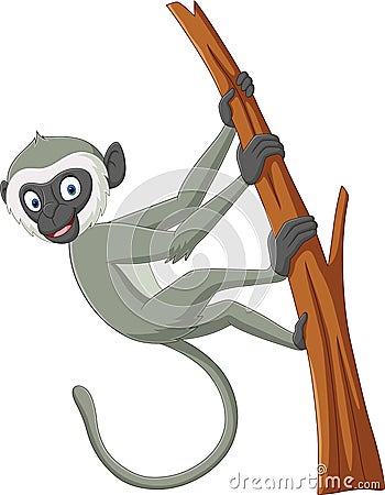 Cute Langur Monkey Cartoon On Tree Branch Vector Illustration ...