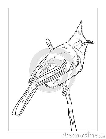 Bulbul Vector Bird Coloring Page | CartoonDealer.com #291767924