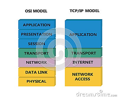 OSI And TCP Model Vector Illustration | CartoonDealer.com #294250444