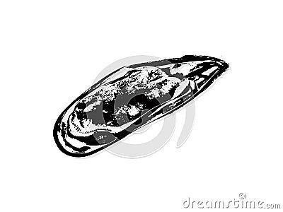 Black And White Illustration Sketch Of A Mussel Hand Drawing Vector ...