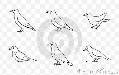 Print Jackdaw Bird Line Art Vector Illustrations Collection Detailed ...