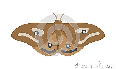 Moth Cartoon Clipart. Cute Polyphemus Moth (Antheraea Polyphemus ...