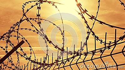 Prison Barbed Wire Fence at Sunset. Bright Sun and Trees Silhouette ...