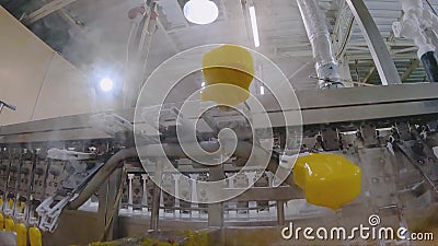 Conveyor at the Ice Cream Factory. Ice Cream Production Process in a ...