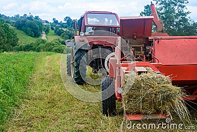 The Process Of Harvesting Hay For Cattle, A Tractor Making Bales In The ...