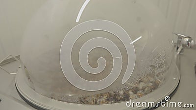 The Process of Isolating Mucin from the Snail. Extraction of Mucin from ...