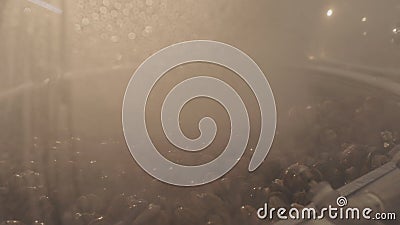 The Process of Isolating Mucin from the Snail. Extraction of Mucin from ...