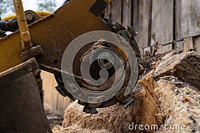 The Process Of Removing A Tree Stump Where The Rotating Head Of The ...