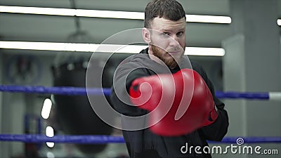 Process of Training a Male Boxer, Slow Motion Stock Footage - Video of ...