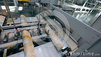 Production of Wallpaper, a Roll of Wallpaper on a Conveyor Line, the ...