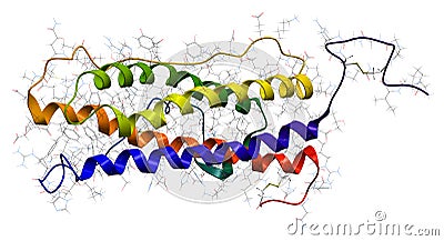 Prolactin Hormone Stock Photo - Image: 23245830