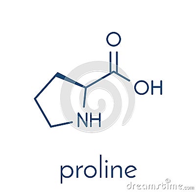 Proline L-proline, Pro Amino Acid Molecule. Skeletal Formula. Vector ...
