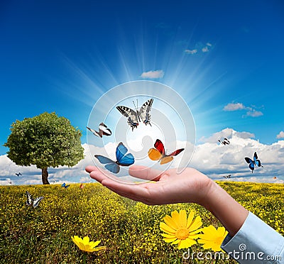 Protect Environment Stock Photography - Image: 20282532